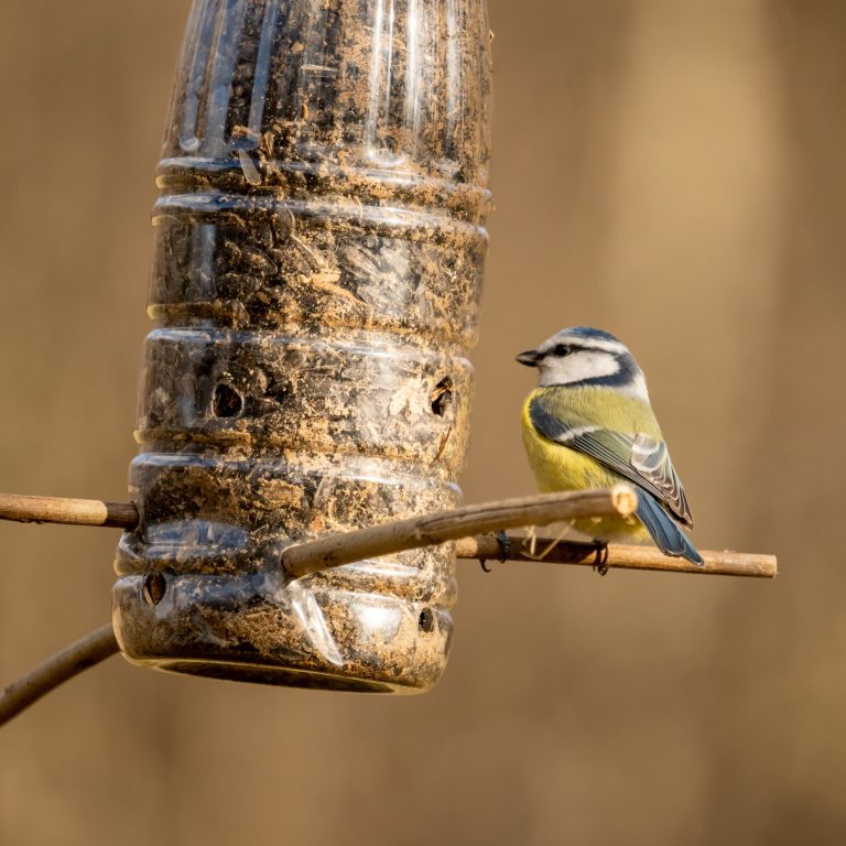 Recycled Bird Feeders